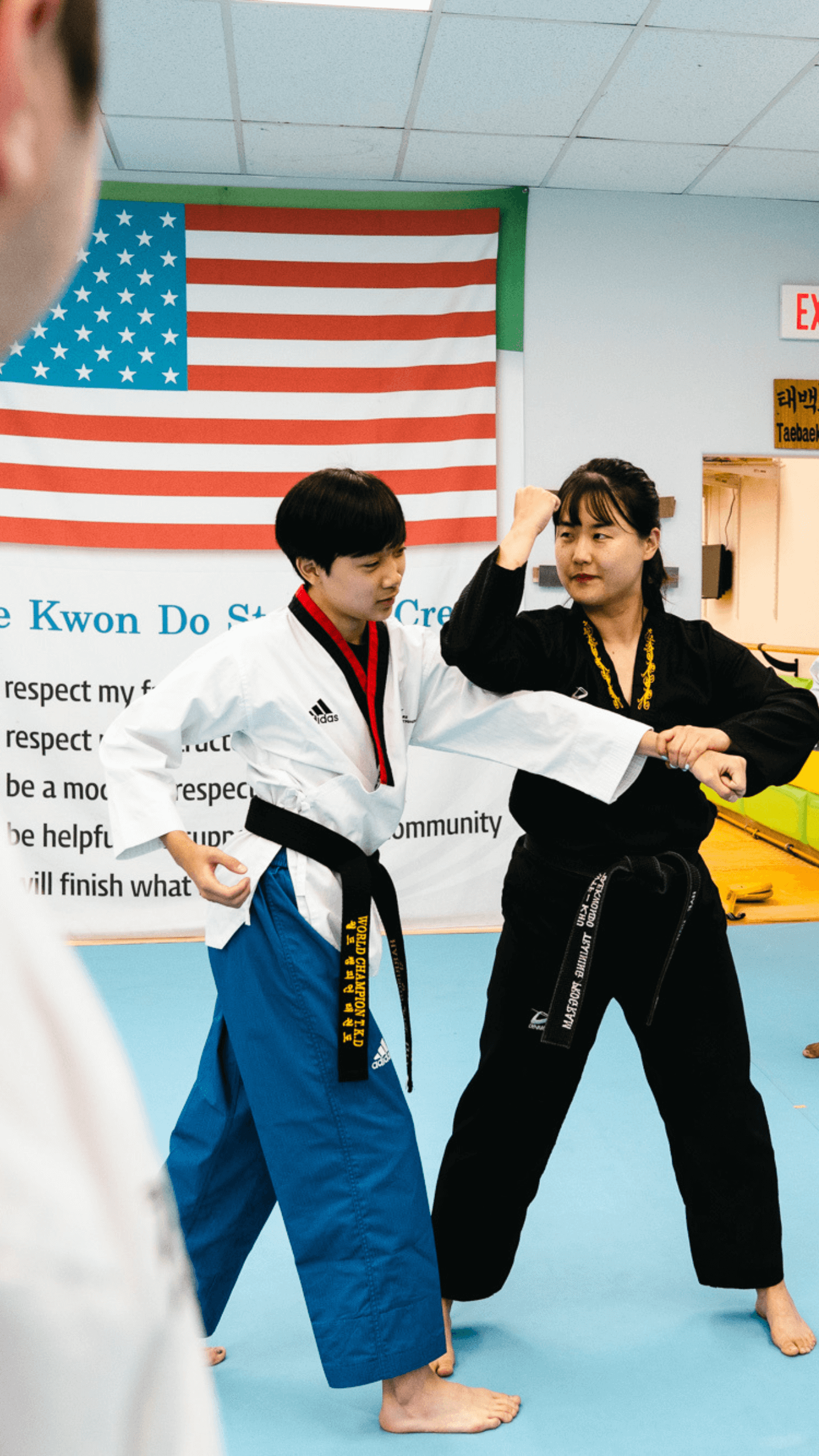 Taekwondo Classes Newtown CT | World Champion Taekwondo | Youth & Adult